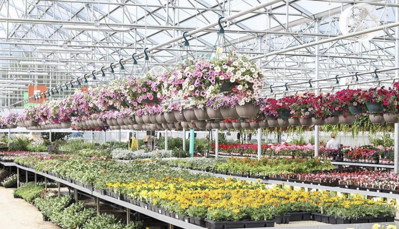 Ohio’s Top Garden Center with Locally Grown Plants — Timbuk Farms ...