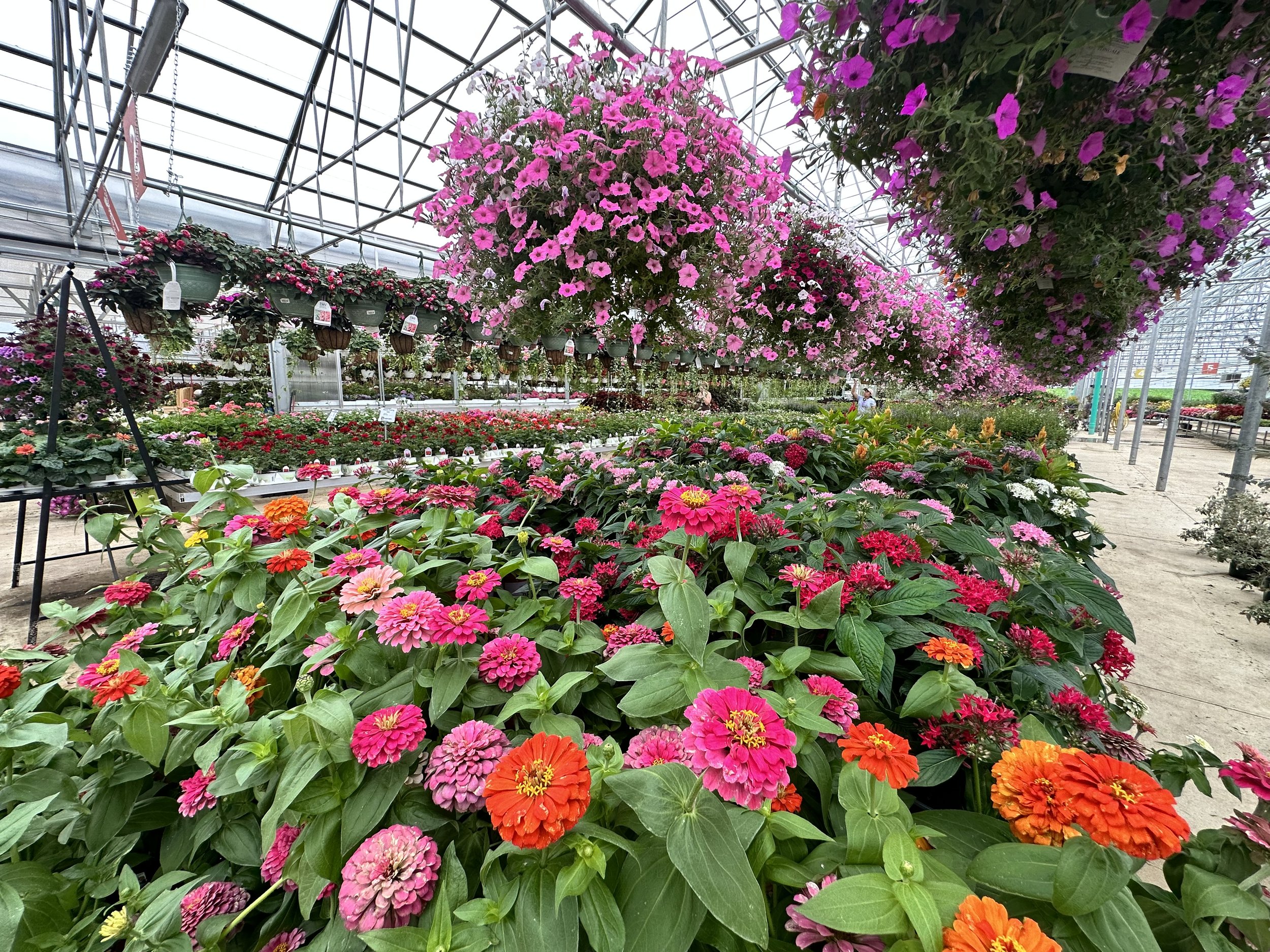 Timbuk Farms & Garden Center