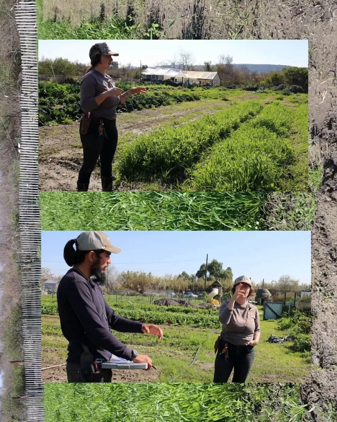 Foodshed Cooperative