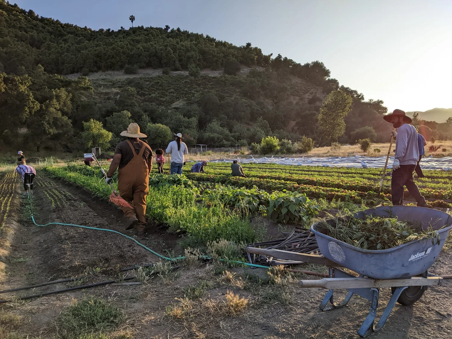 Foodshed Cooperative