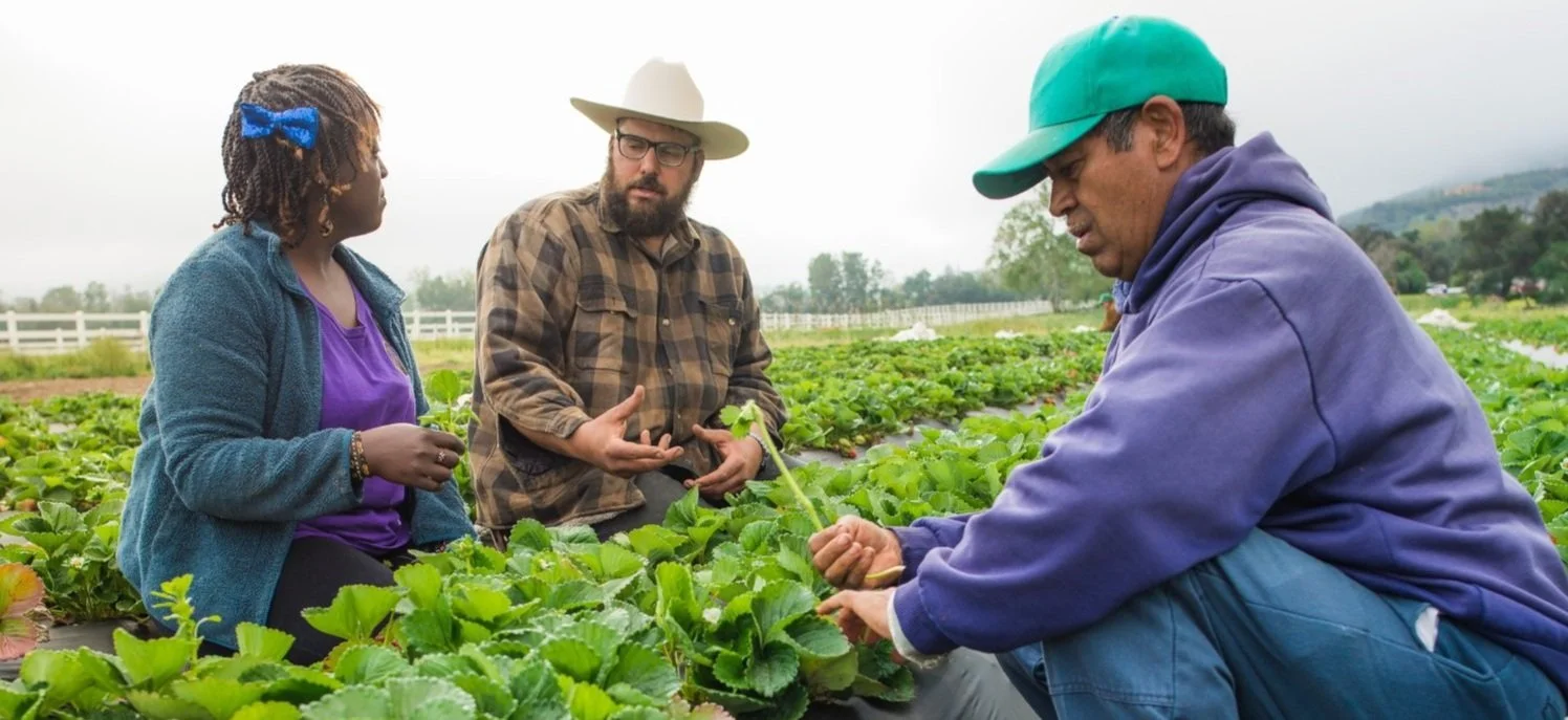 Foodshed Cooperative