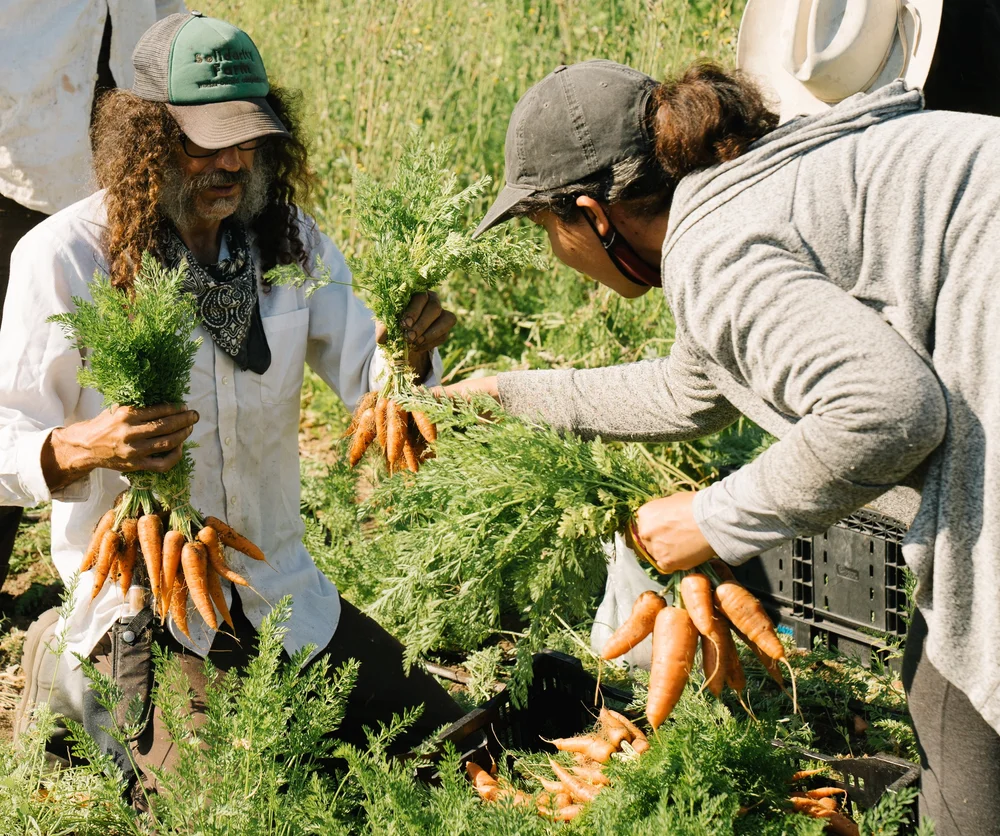 Foodshed Cooperative