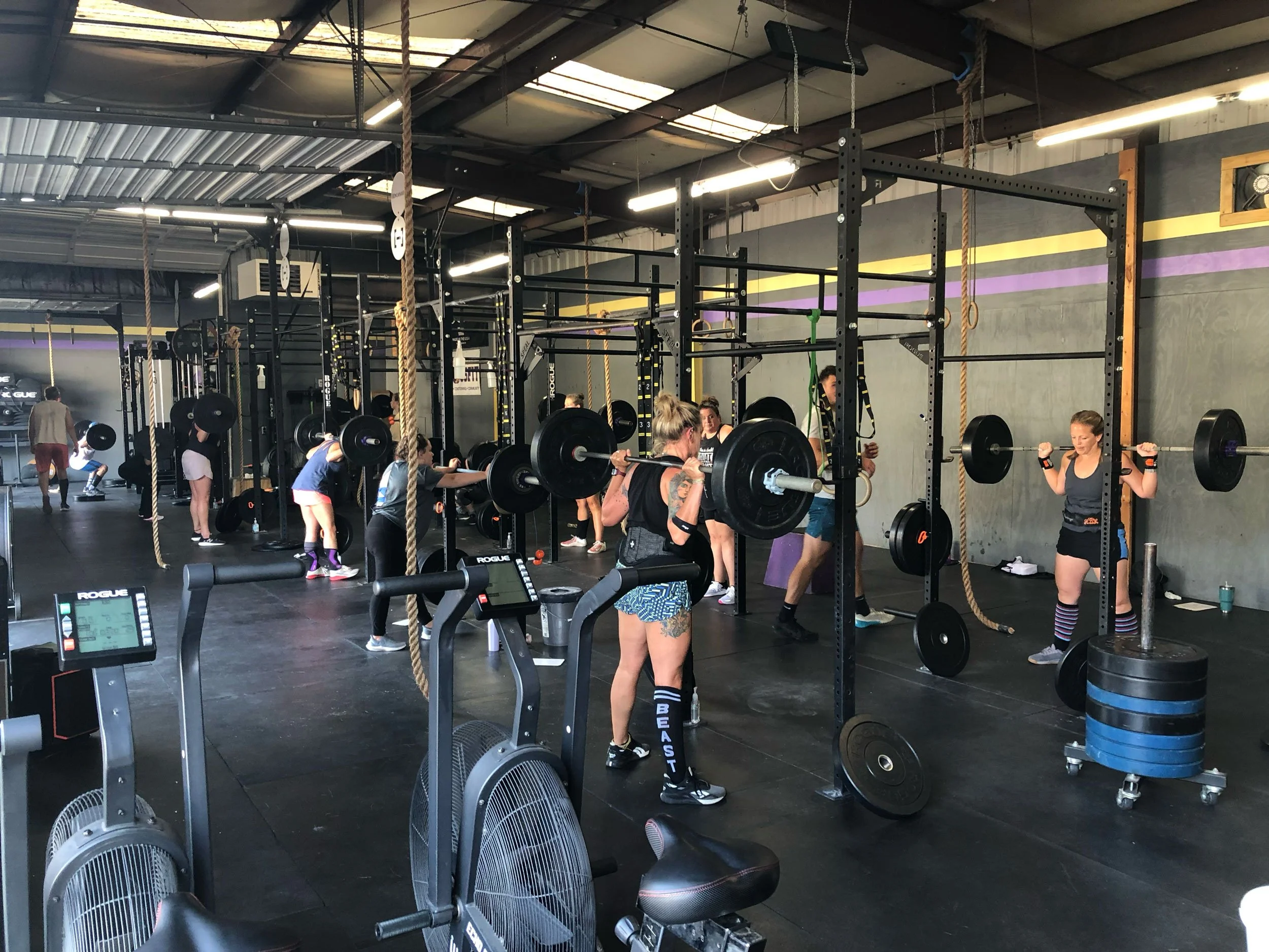 Open Gym — Catamount Elite Fitness
