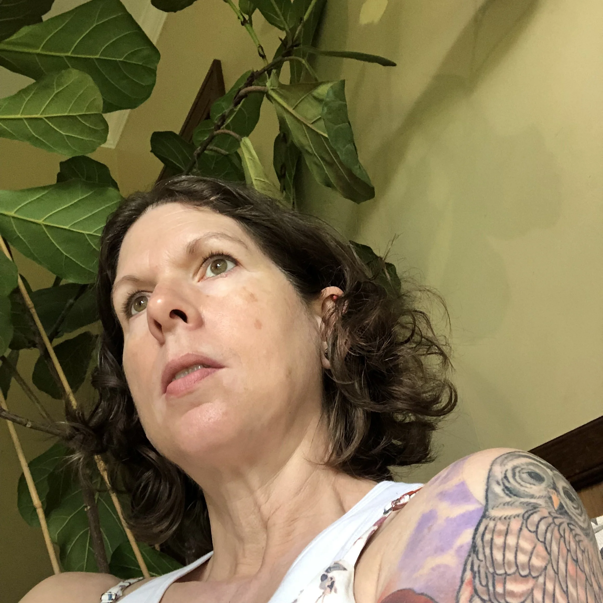 General 2 — Tannery Row Artist Colony