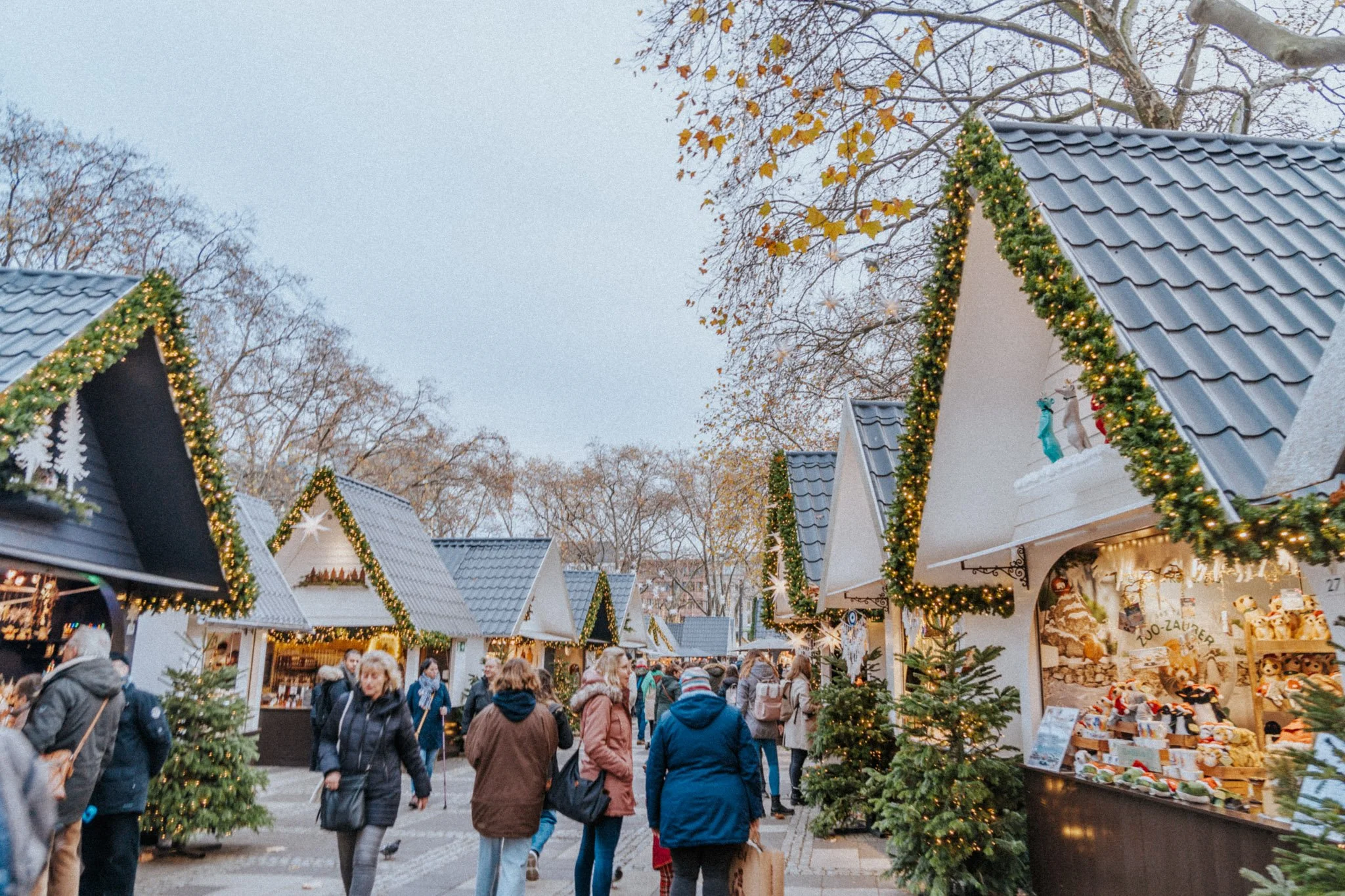 2026 Cologne Christmas Markets Guide — Andrew & Kait