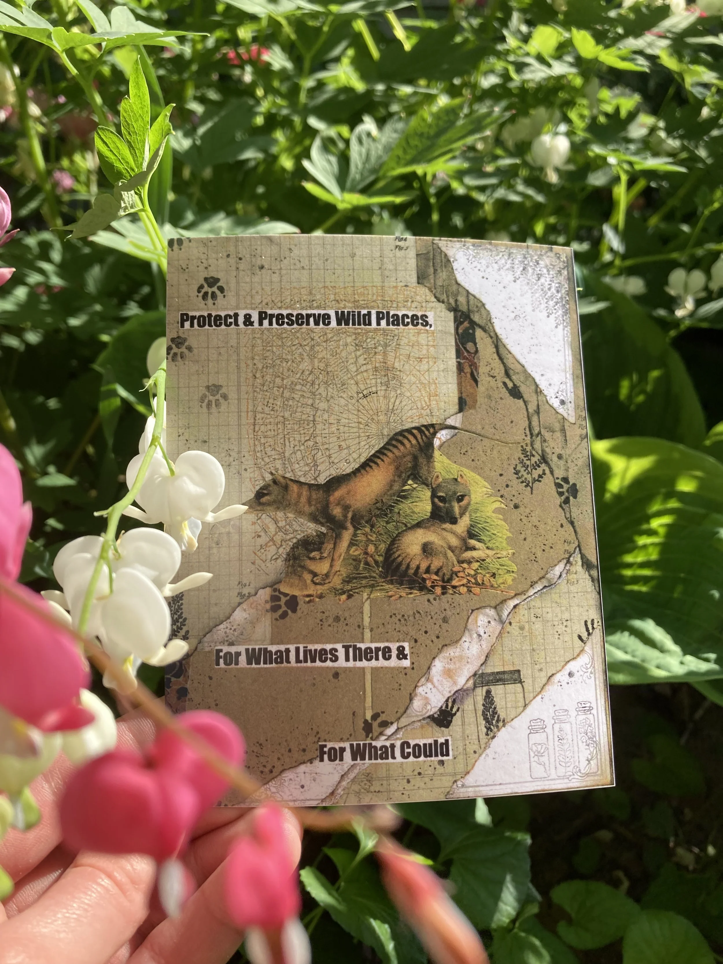 Frankie's Pretty Monsters