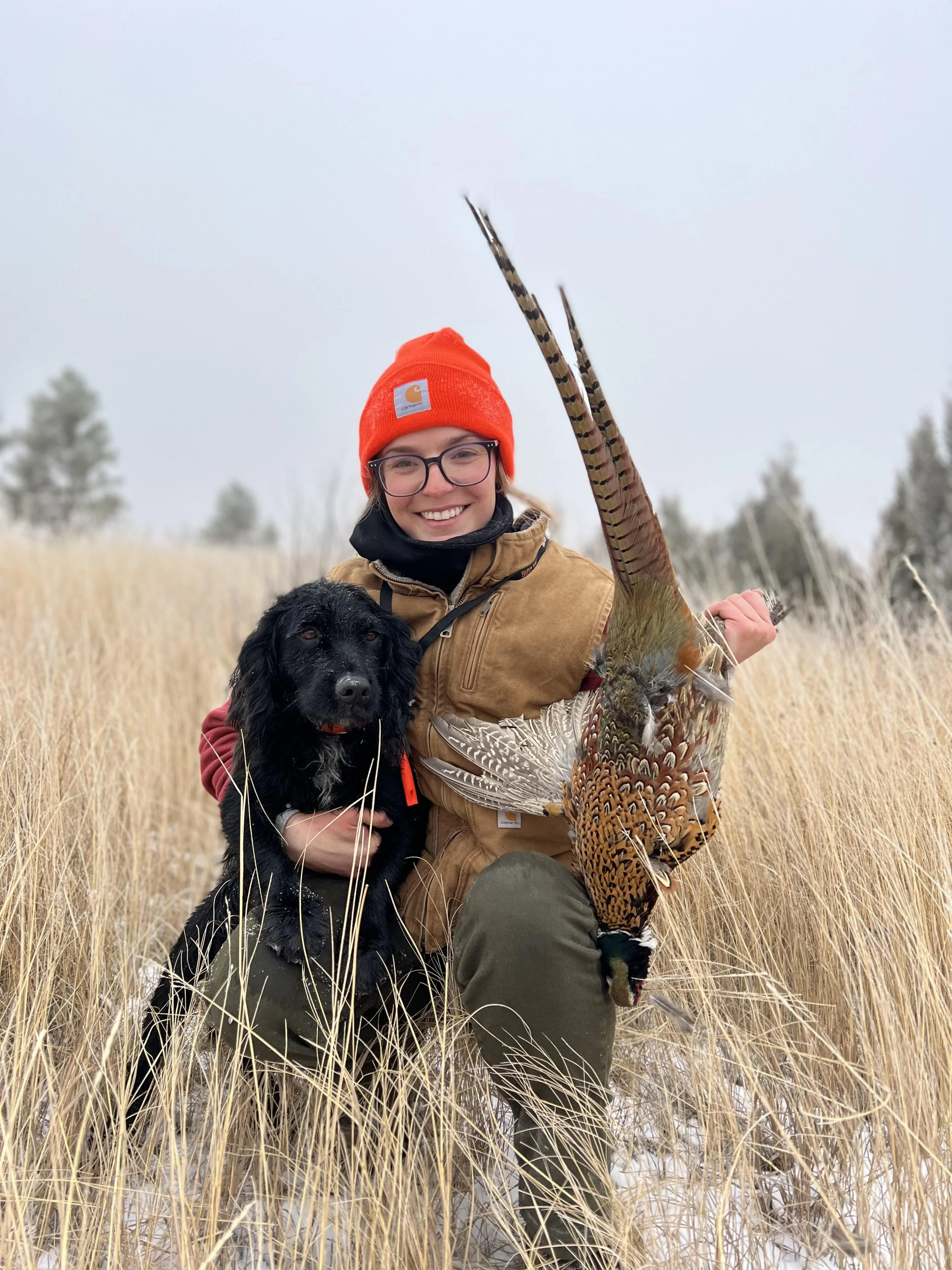 Services — Prairie Fauna Kennels