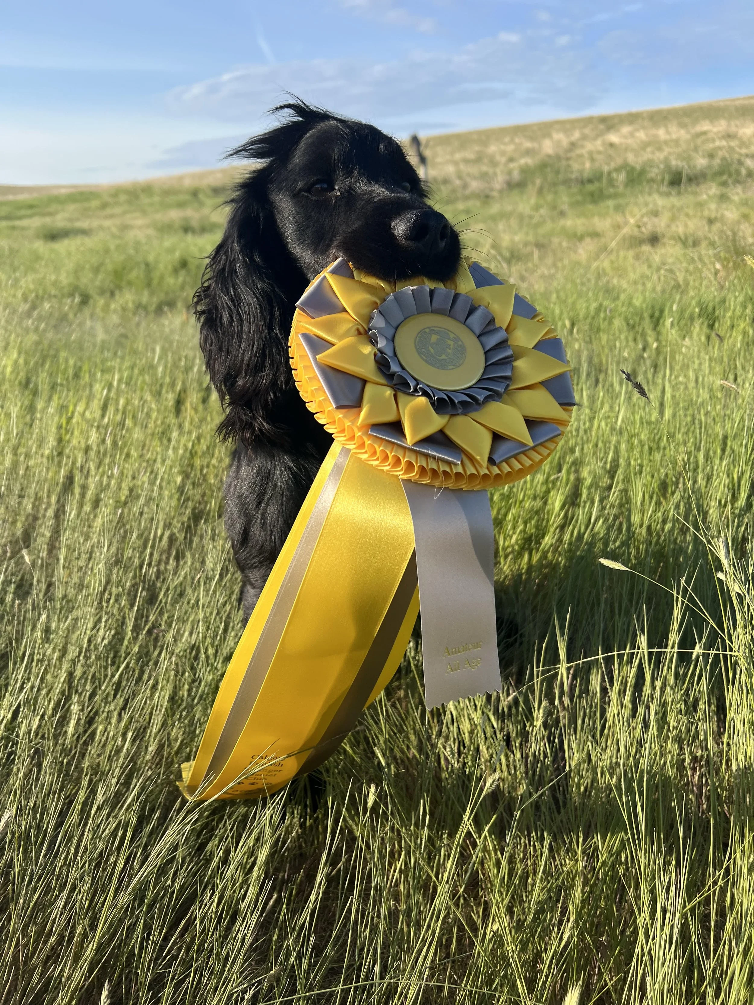 Services — Prairie Fauna Kennels