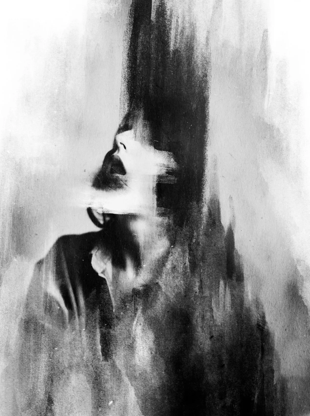 silvia grav