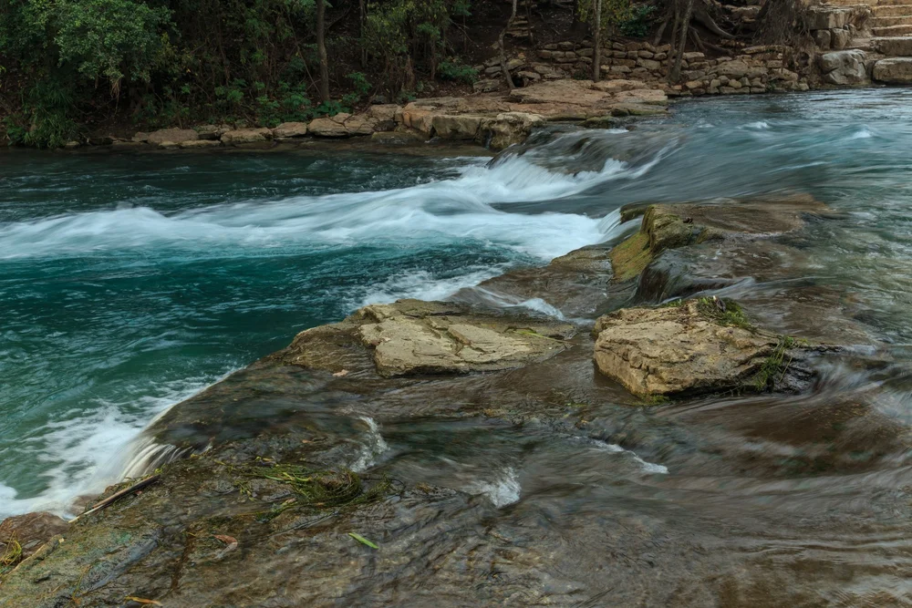 The San Marcos River Foundation