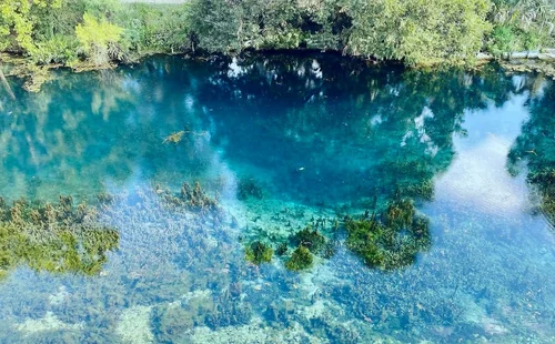San Marcos River — The San Marcos River Foundation