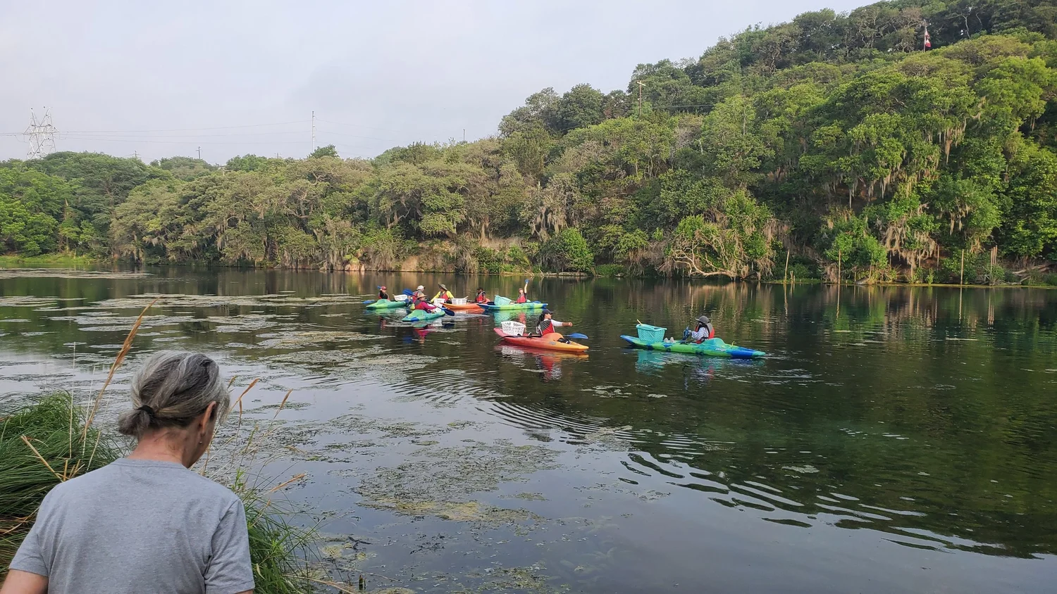 Invasive Species Removal — The San Marcos River Foundation