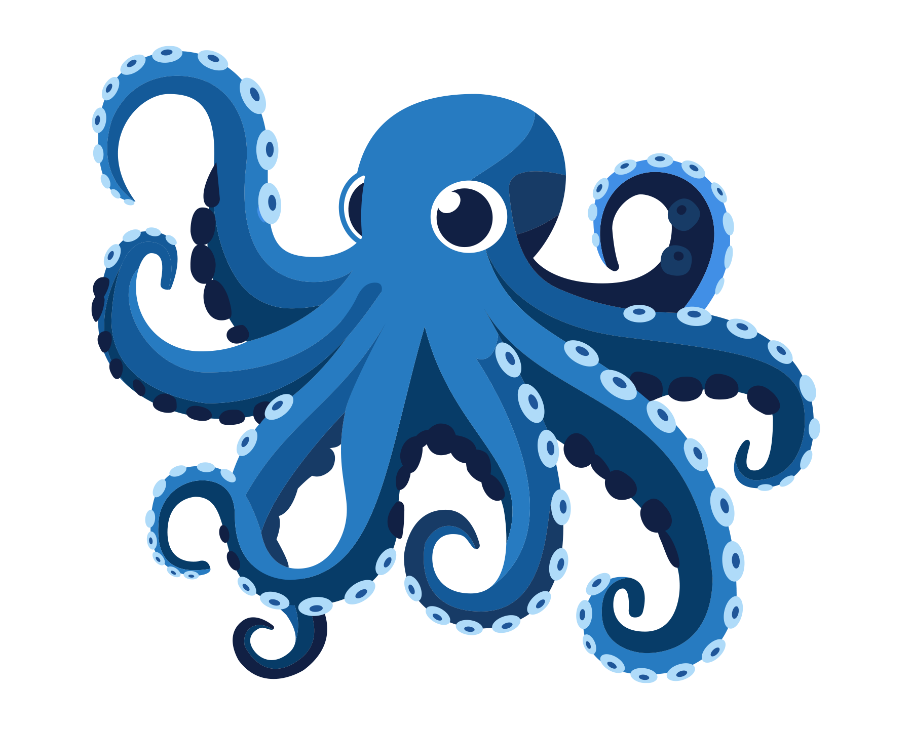 Product — OktoRocket