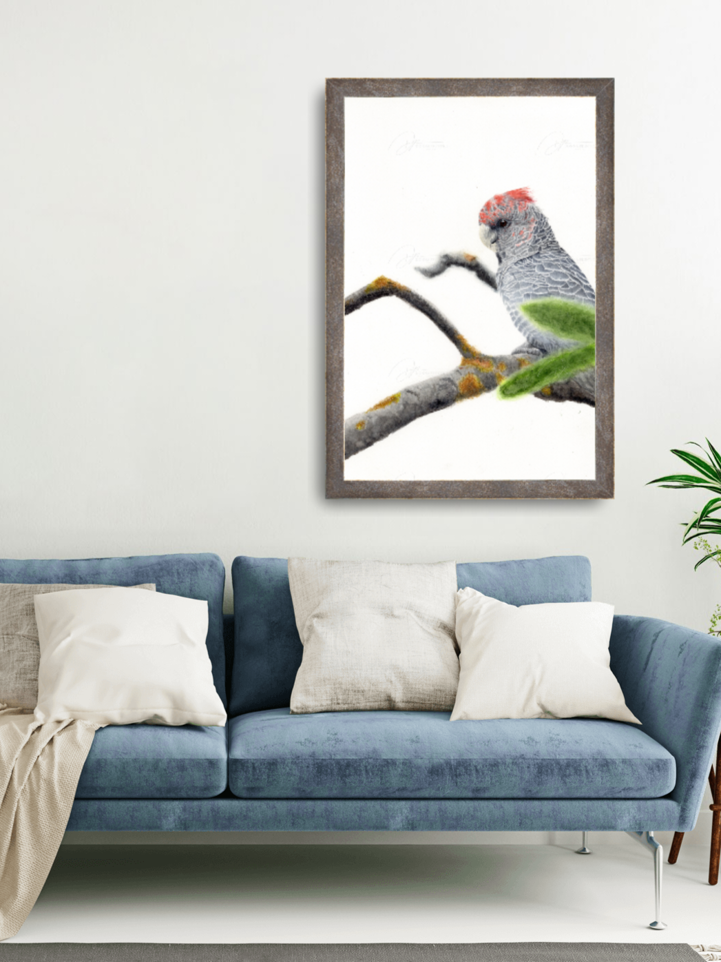 Store — D. Prentice Wildlife Artist