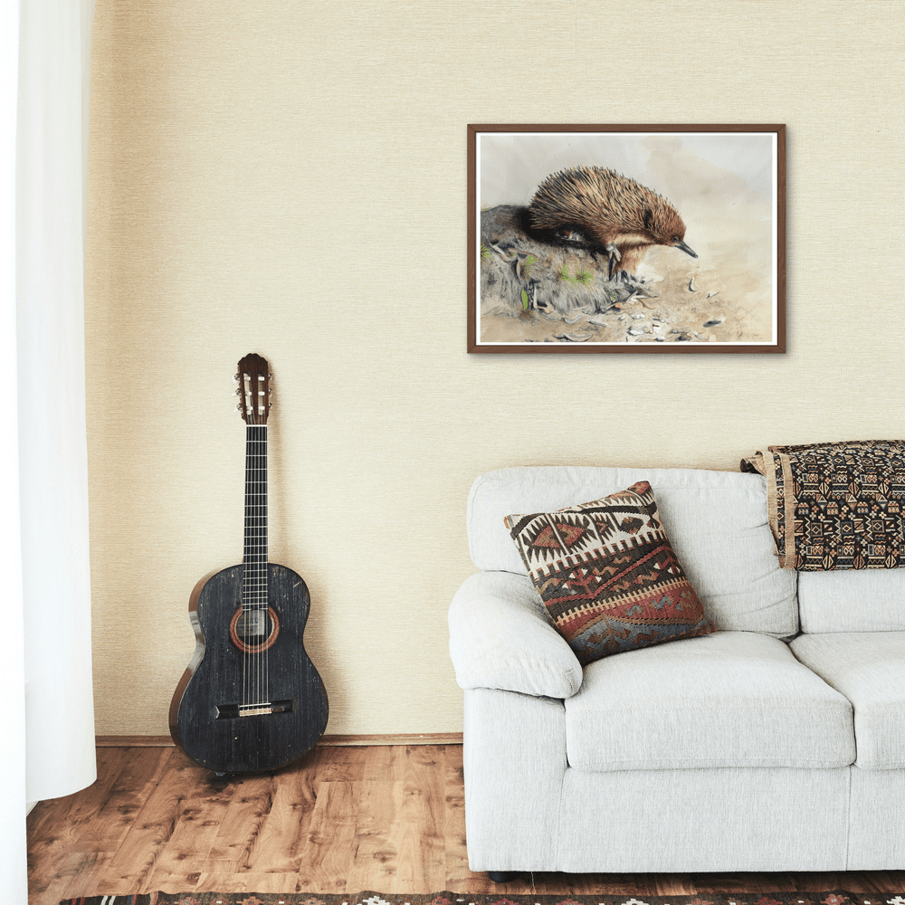 Store | Australian Art Prints and Gifts — D. Prentice Wildlife Artist