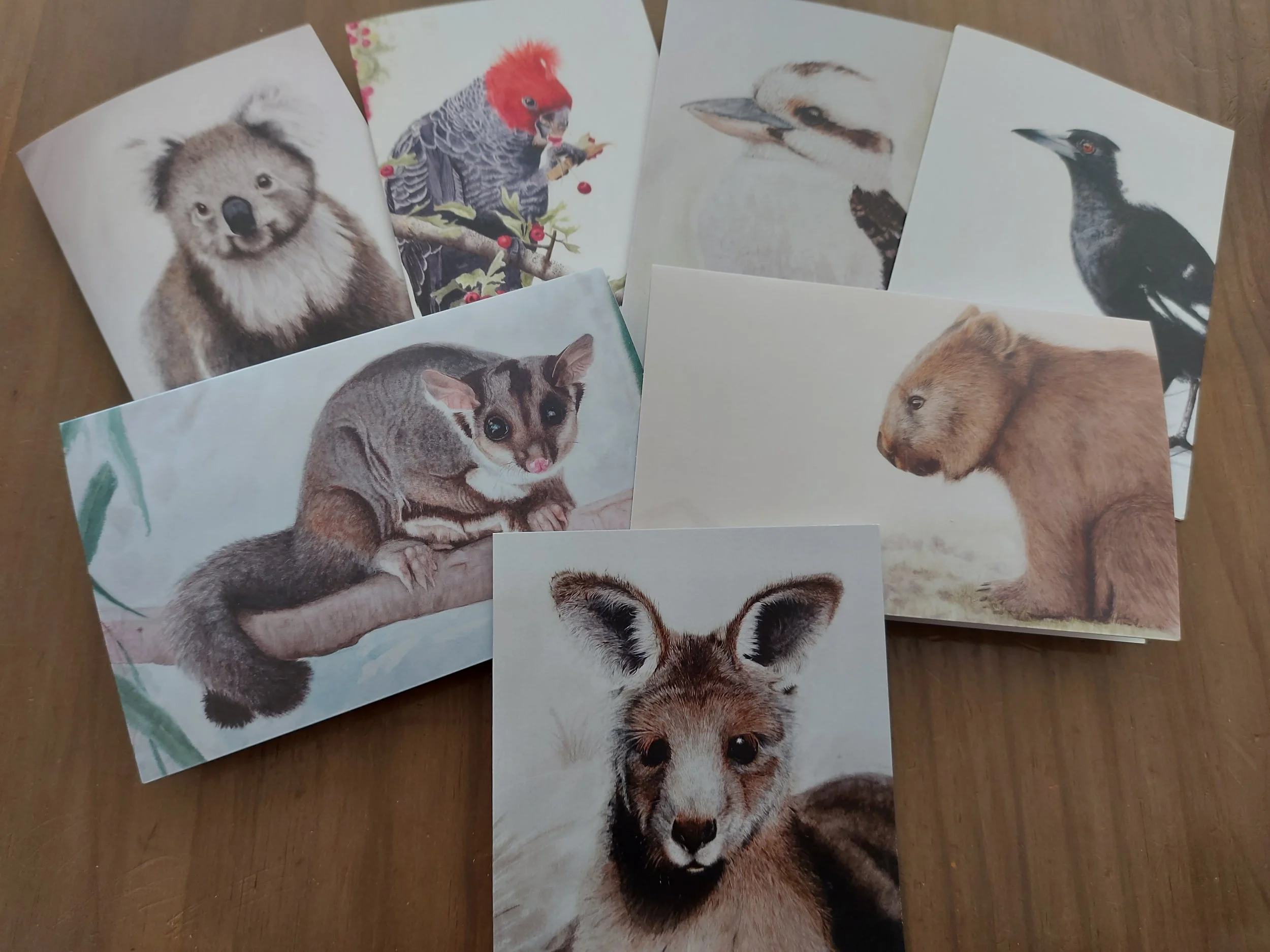 Store — D. Prentice Wildlife Artist