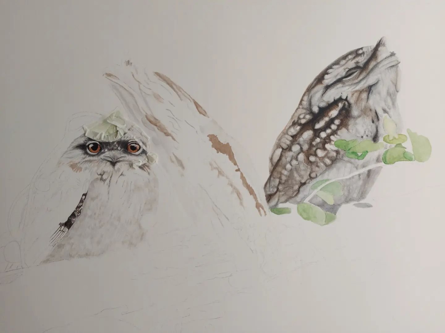 D. Prentice Wildlife Artist | Explore Stunning Wildlife Art