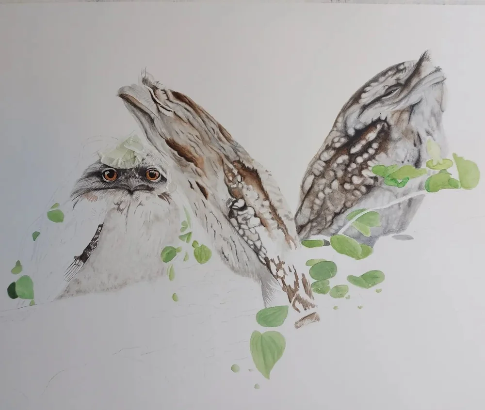 D. Prentice Wildlife Artist | Explore Stunning Wildlife Art