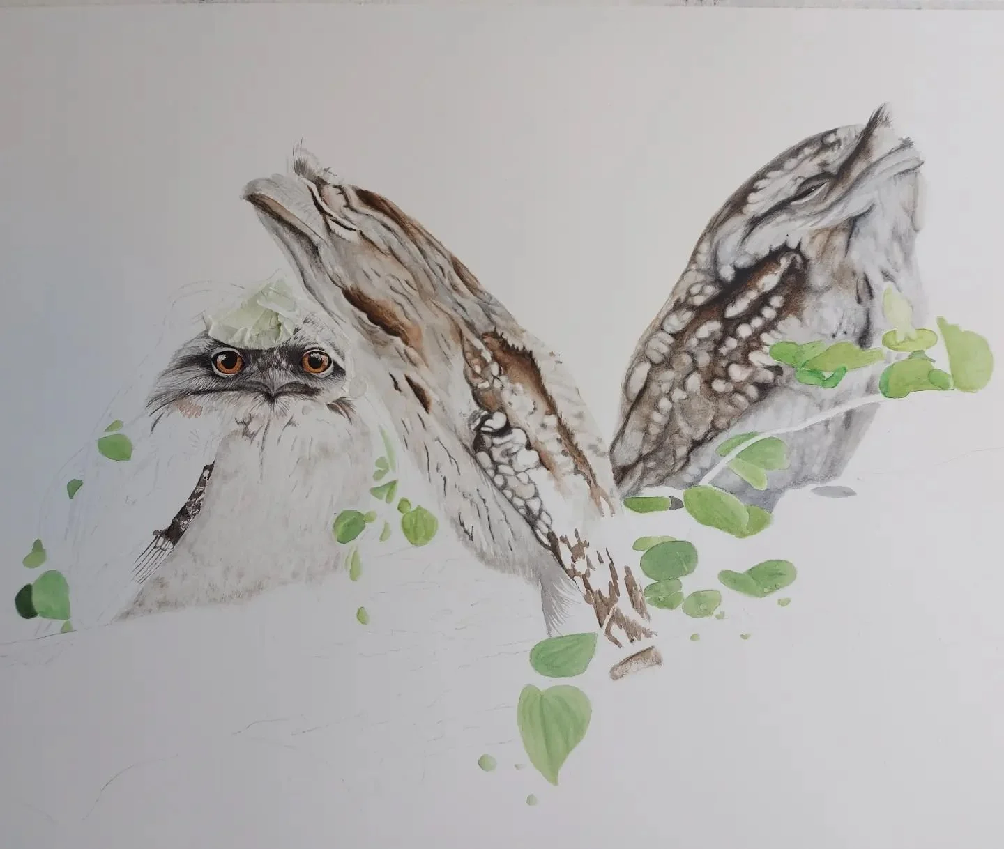 D. Prentice Wildlife Artist | Explore Stunning Wildlife Art