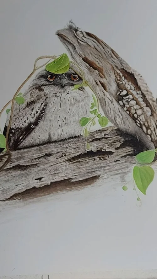D. Prentice Wildlife Artist | Explore Stunning Wildlife Art