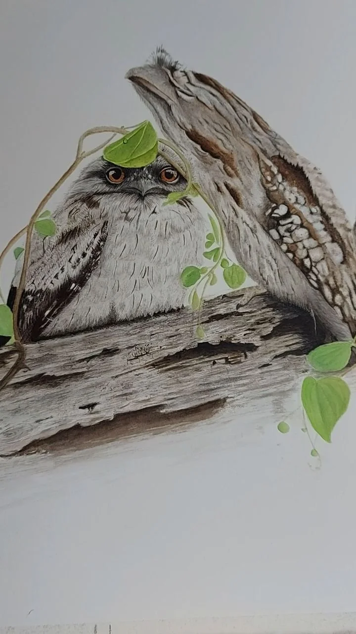 D. Prentice Wildlife Artist | Explore Stunning Wildlife Art