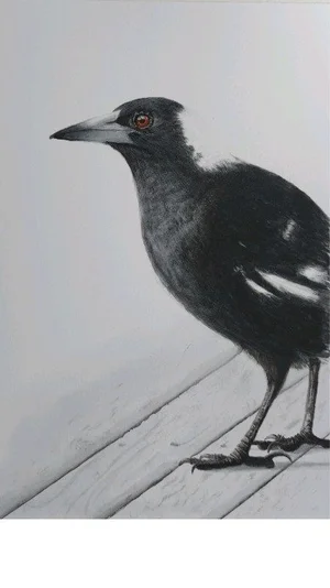 D. Prentice Wildlife Artist | Explore Stunning Wildlife Art