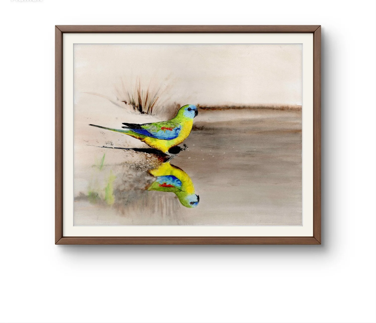Store | Australian Art Prints and Gifts — D. Prentice Wildlife Artist