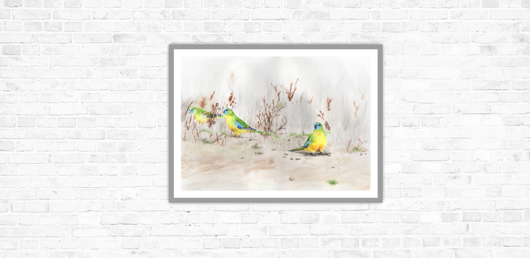 Store | Australian Art Prints and Gifts — D. Prentice Wildlife Artist