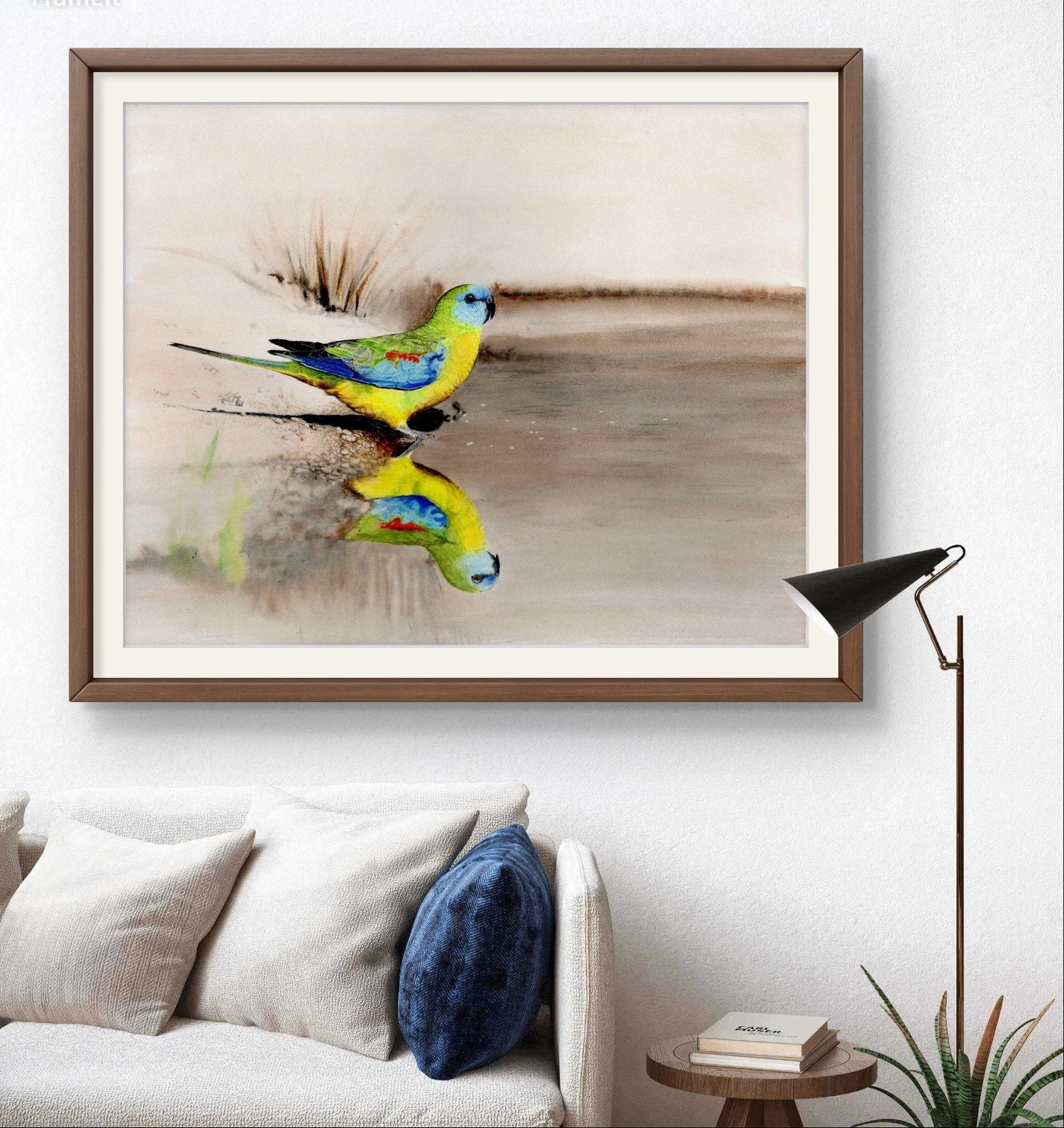 Store | Australian Art Prints and Gifts — D. Prentice Wildlife Artist