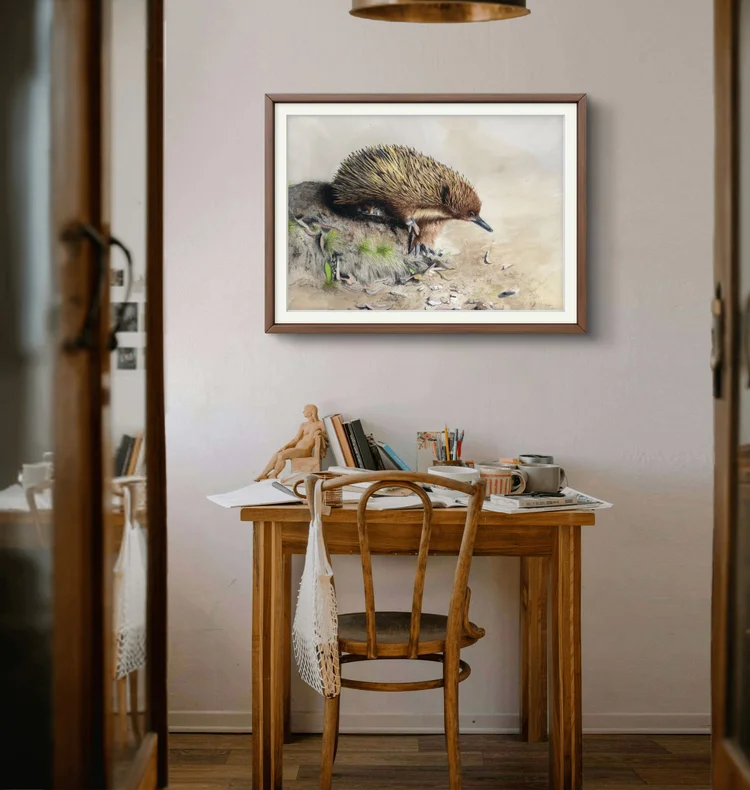 Store | Australian Art Prints and Gifts — D. Prentice Wildlife Artist