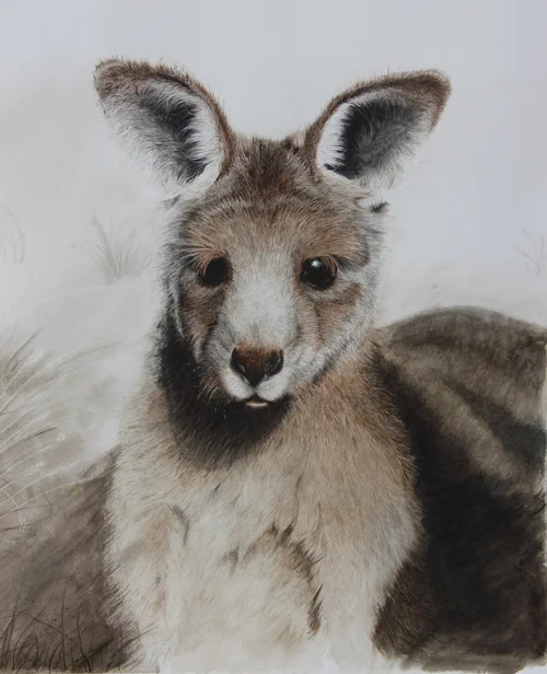 D. Prentice Wildlife Artist | Explore Stunning Wildlife Art