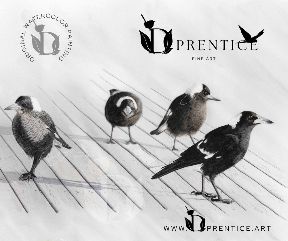 Australian Watercolor Wildlife & Bird Art Gallery — D. Prentice ...