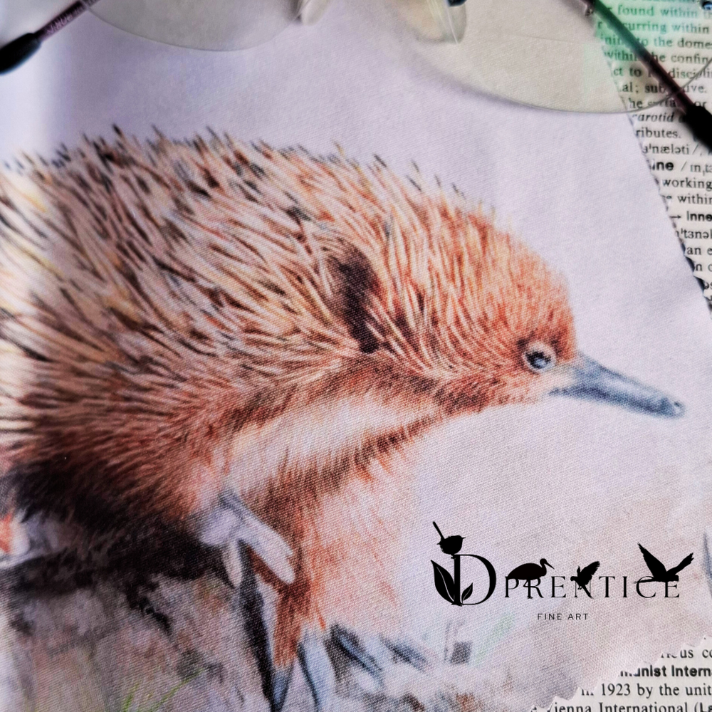Store | Australian Art Prints and Gifts — D. Prentice Wildlife Artist