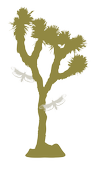 Nature’s Perfect Pair: The Joshua Tree & The Yucca Moth — Friends of ...