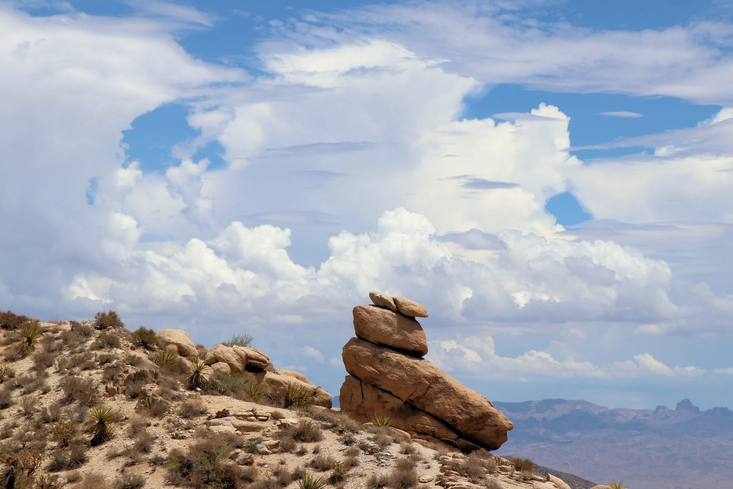 HIKING TRAIL - Castle Mountains Grasslands in Avi Kwa Ame National ...