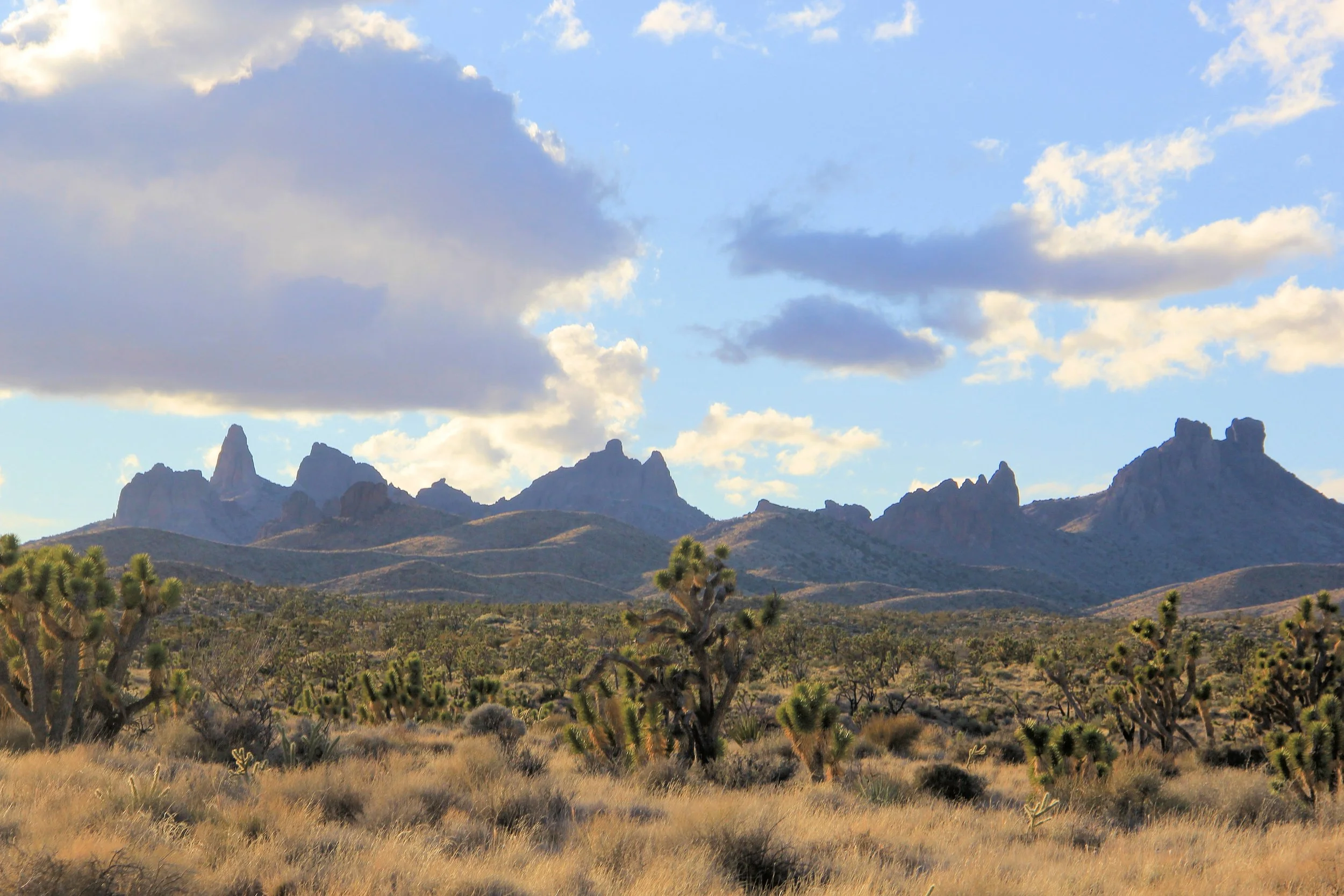 MONUMENT OVERVIEW & FEATURES — Friends of Avi Kwa Ame National Monument