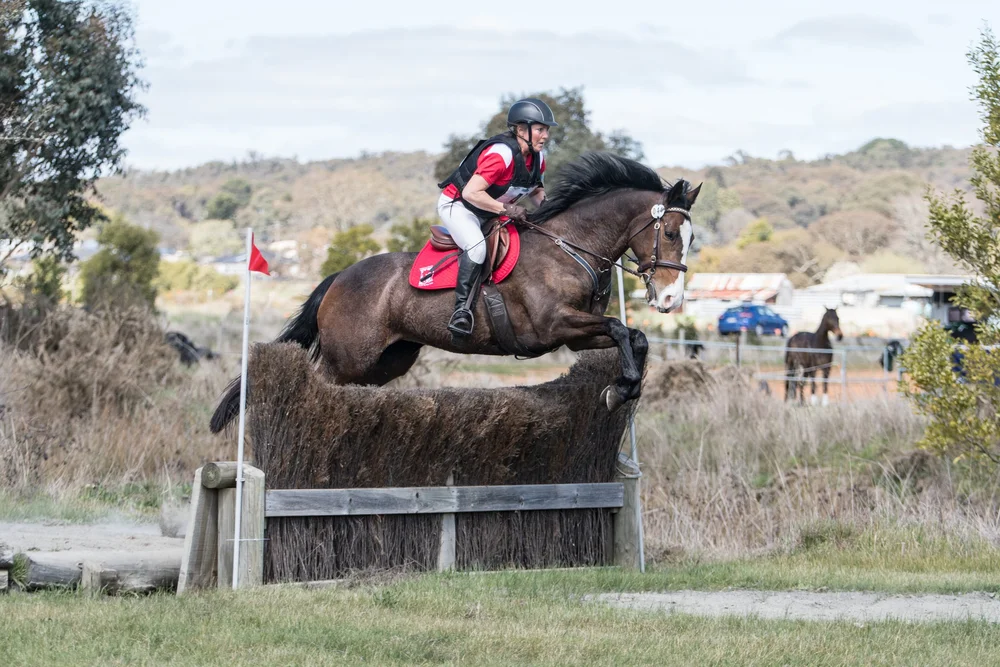 About Us — Tandivale Equestrian Centre