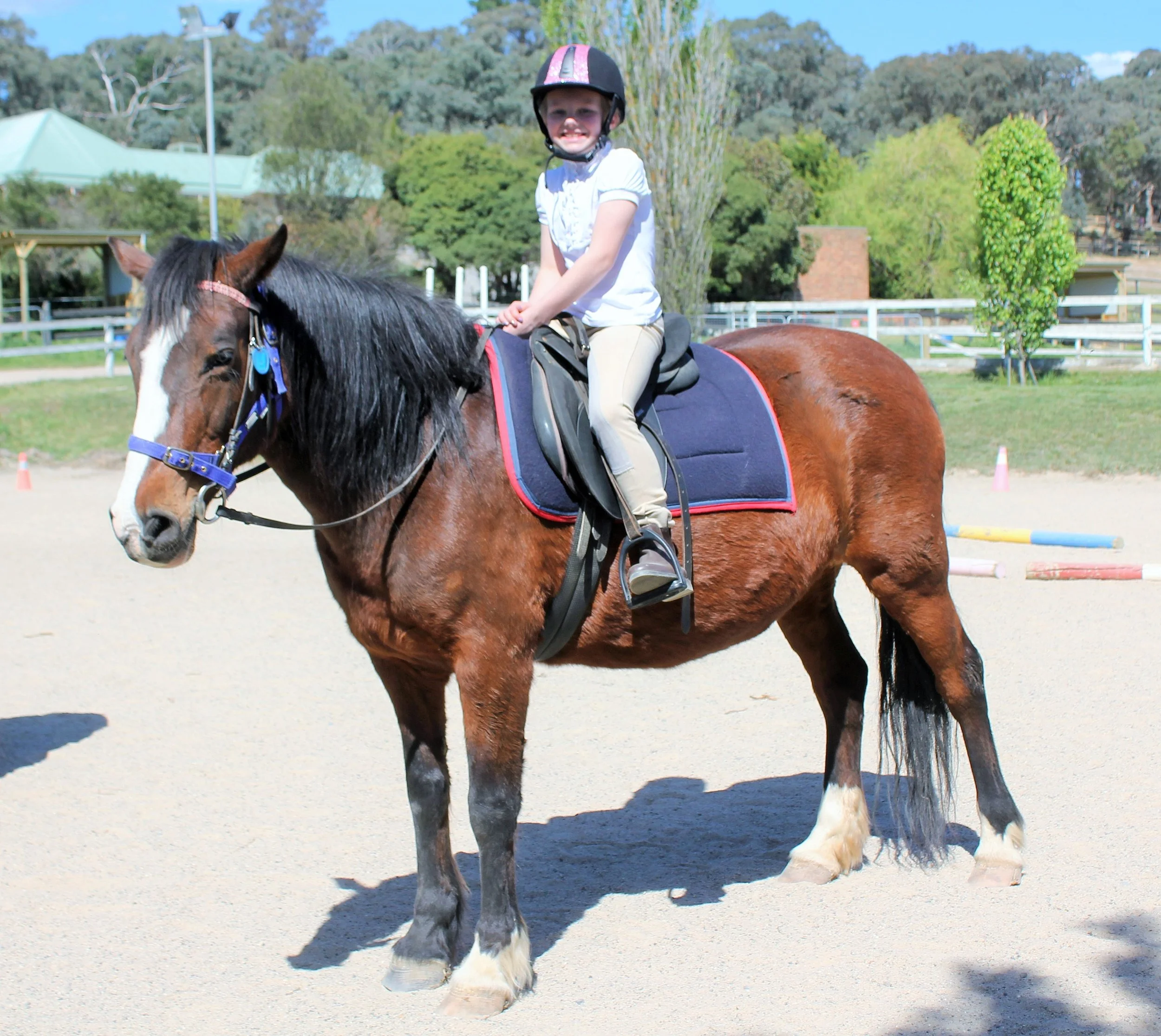 Tandivale Equestrian Centre