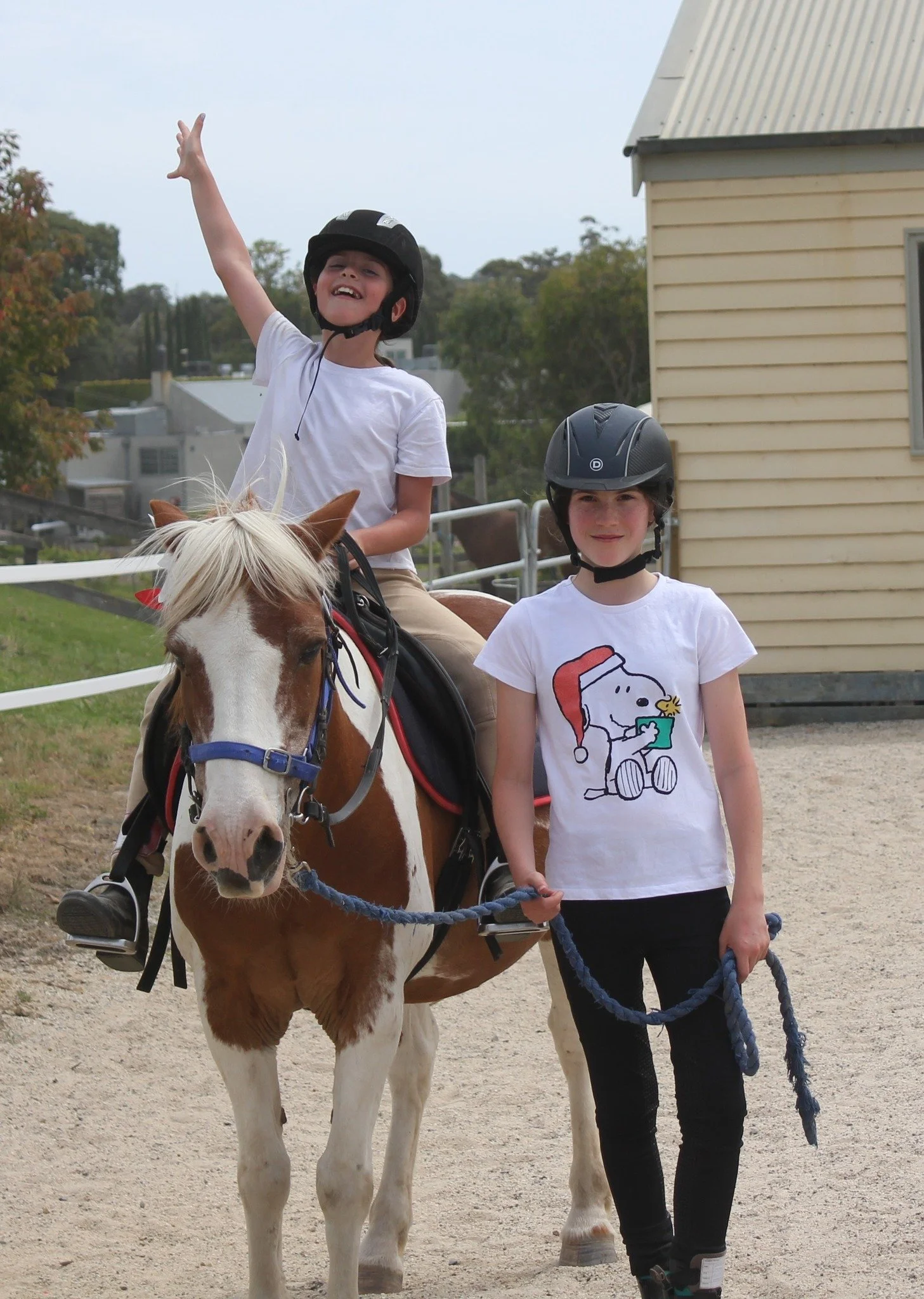 Tandivale Equestrian Centre