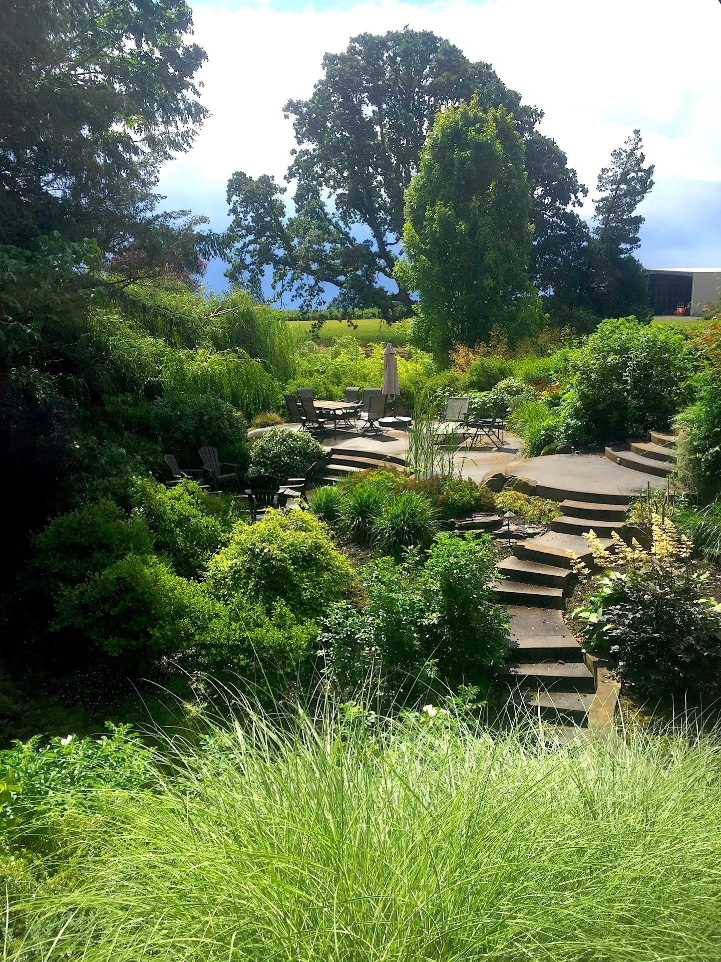 French Prairie — Bethany Rydmark :: Landscapes
