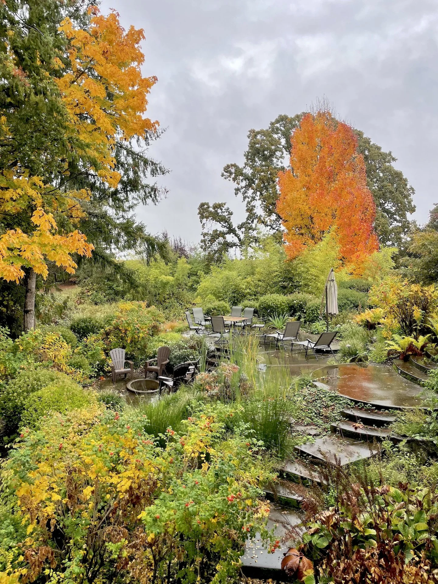 French Prairie — Bethany Rydmark :: Landscapes