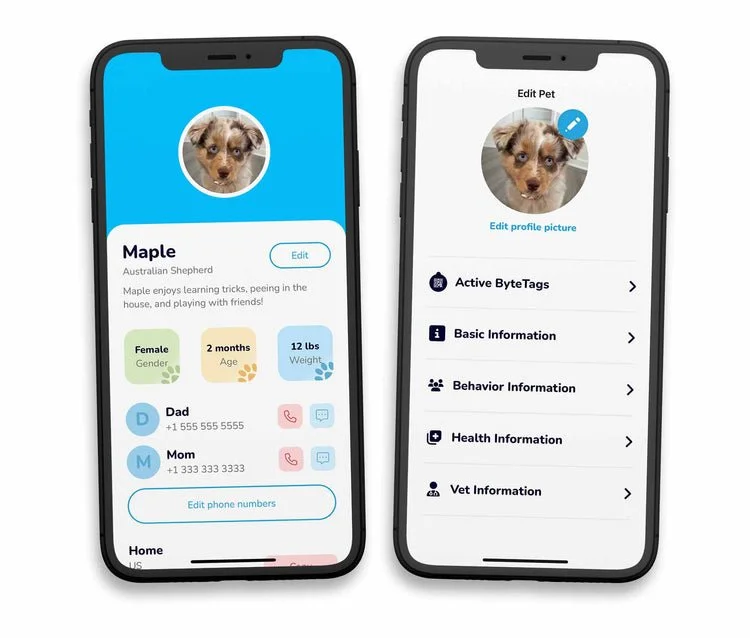 Exploring the Power of Pet Tags with QR Codes For Your Dog