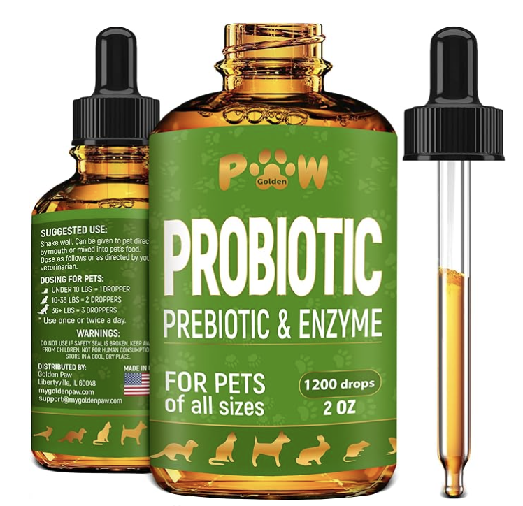 Best 4 Liquid Probiotics For Dogs