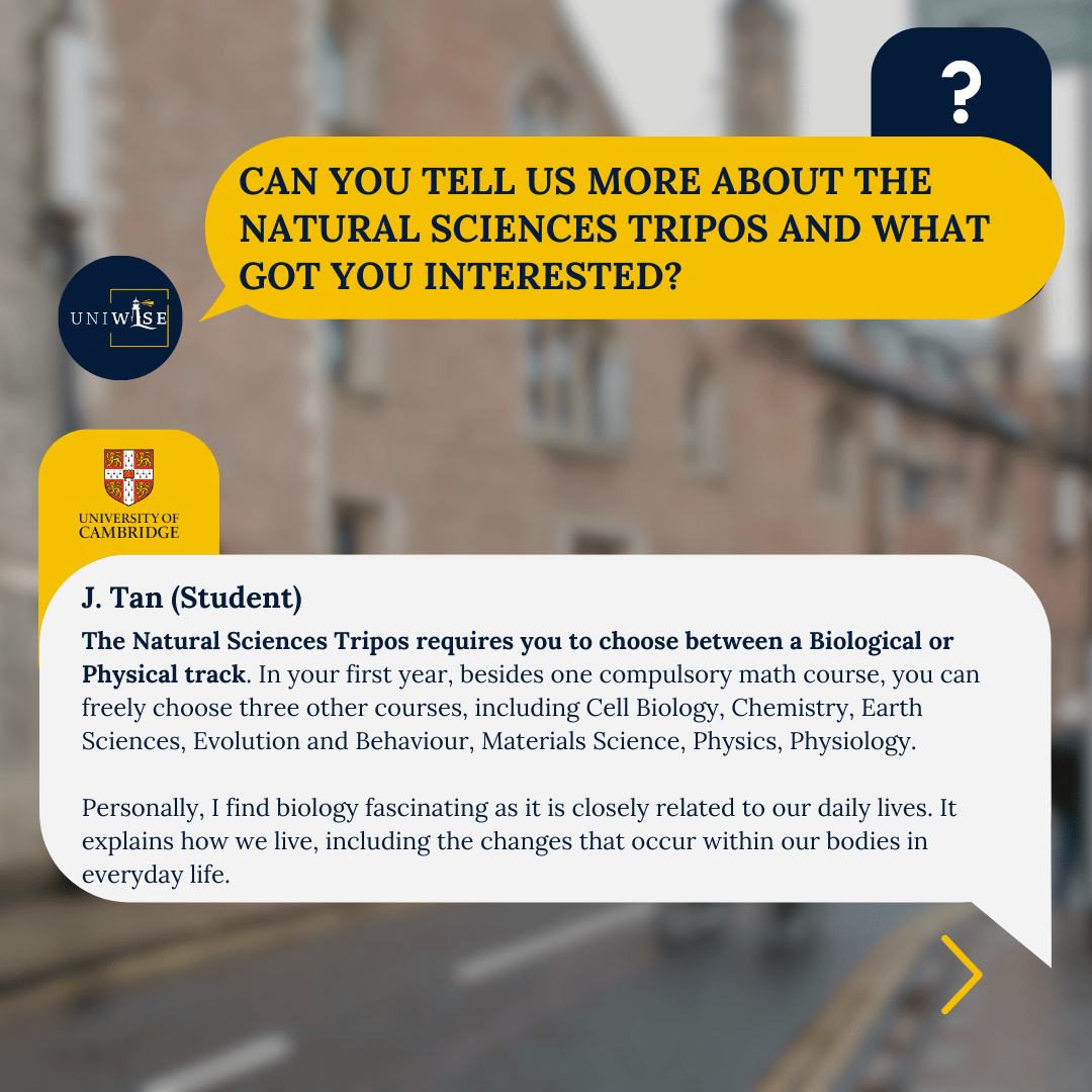 What Does it Take to Get Into Cambridge — UniWise