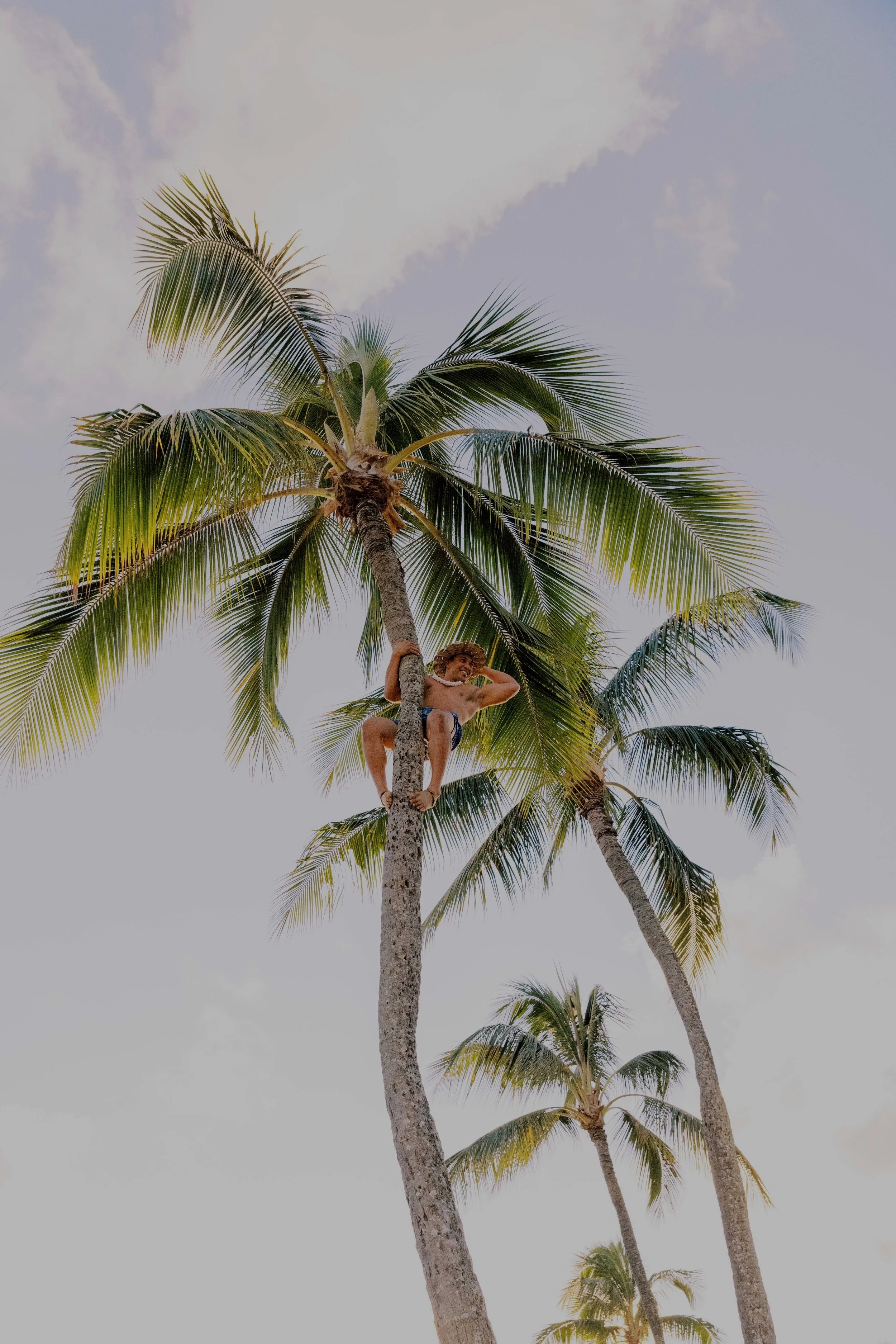 Auli'i Luau