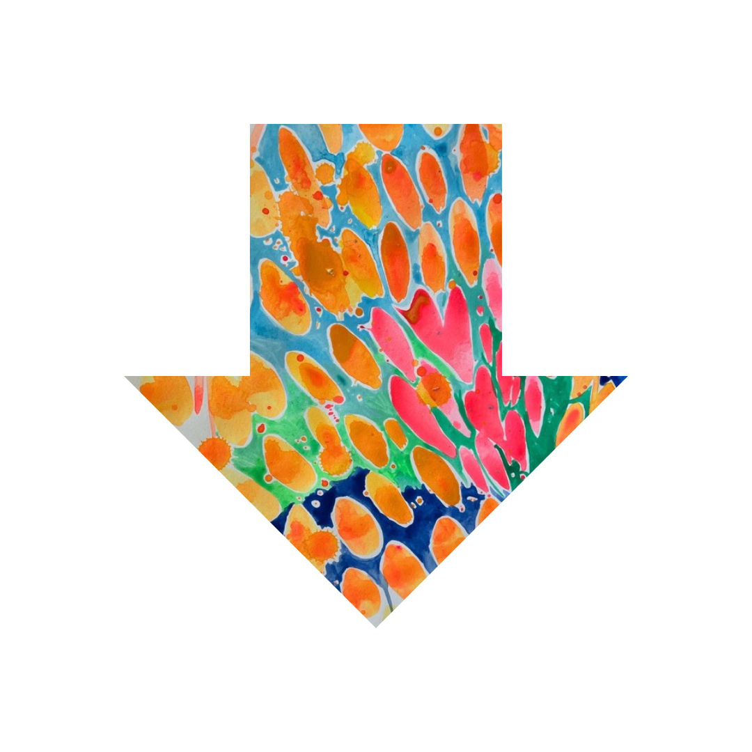 COMMUNITY MURAL PROCESS — The Color Collaborative