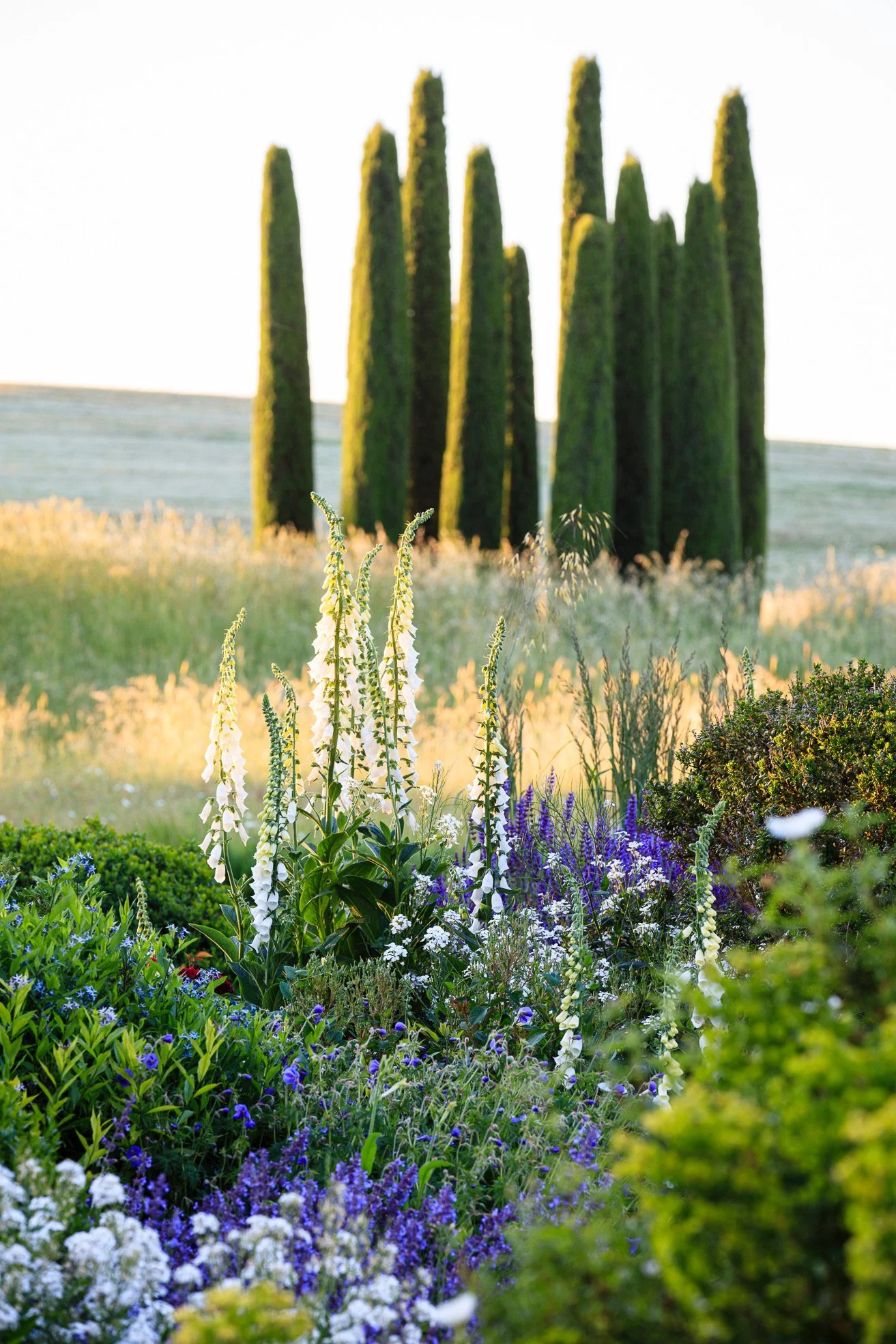 Italian Estate — Stuart Barfoot - Garden Design and Consultancy