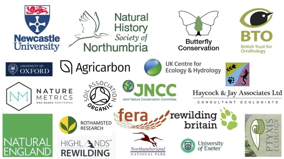 Partnership — Hepple Wilds