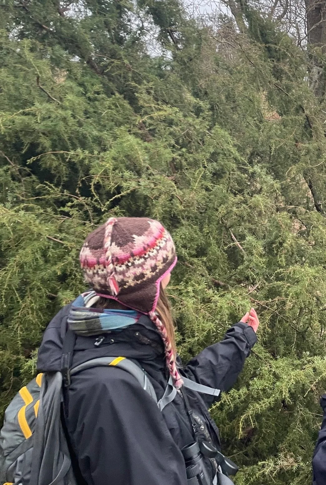 General 3 — Hepple Wilds