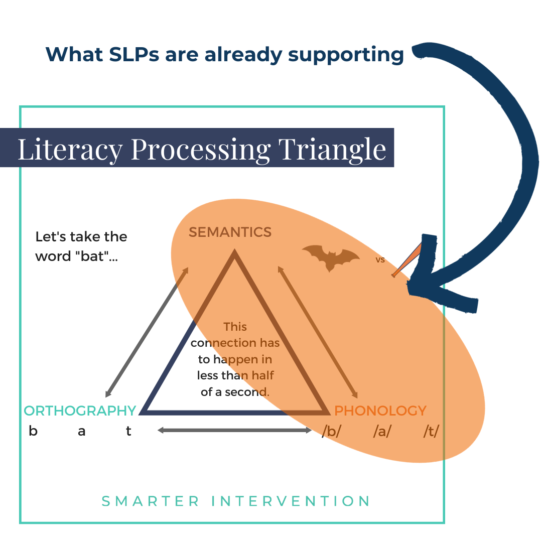 An SLP’s Ultimate Guide to Literacy Intervention — Ascend Smarter ...